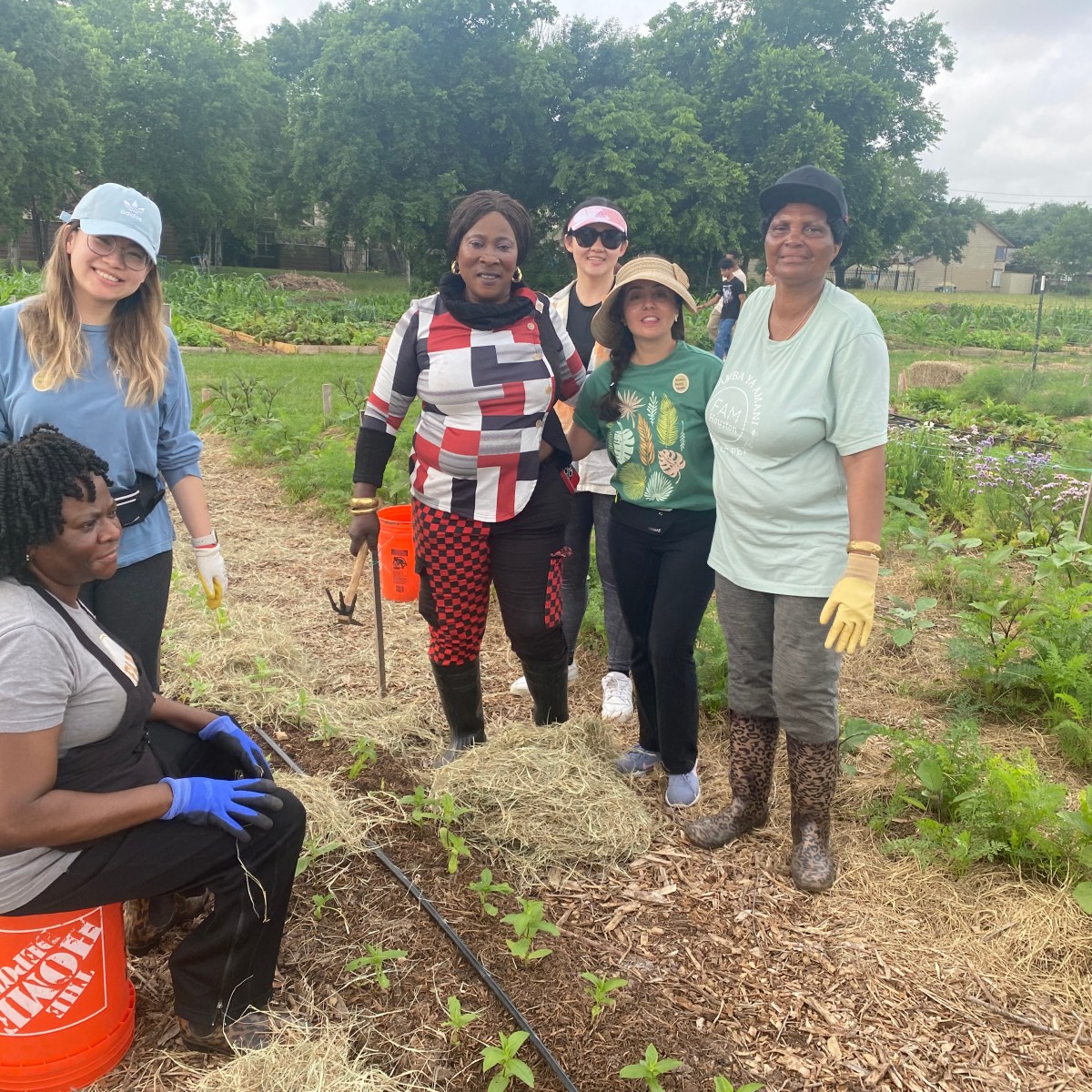 Association for Women in Science – Houston Chapter – Dedicated to ...